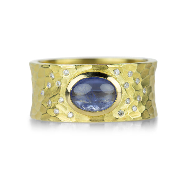 Barbara Heinrich Blue Sapphire Glacier Band | Quadrum Gallery